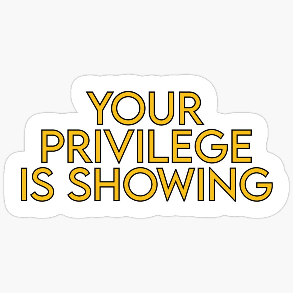 Privilege Sticker Phone Decal Water Bottle Stickers Car Decals, Laptop ...