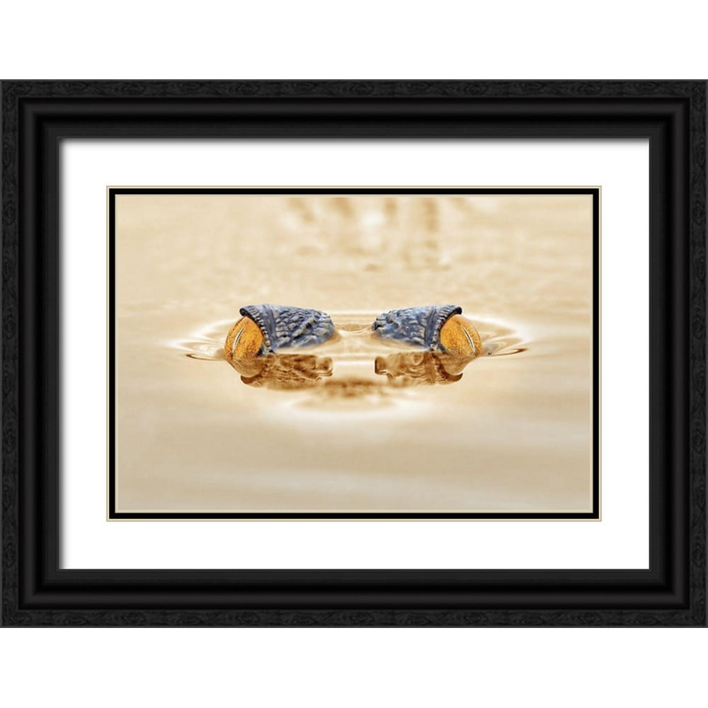 Priyadi, Andri 24x17 Black Ornate Wood Framed with Double Matting Museum Art Print Titled ...