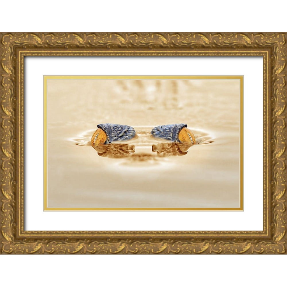 Priyadi, Andri 32x23 Gold Ornate Wood Framed with Double Matting Museum Art Print Titled ...