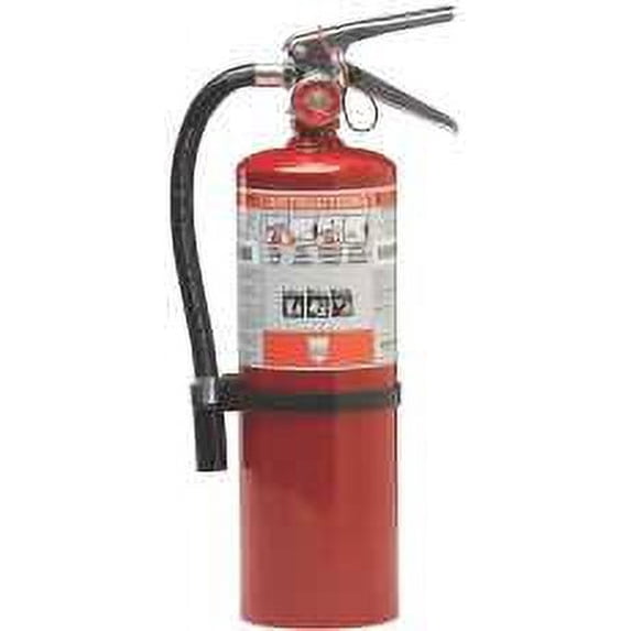 Pro 220 Rechargeable Extinguisher - Walmart.com