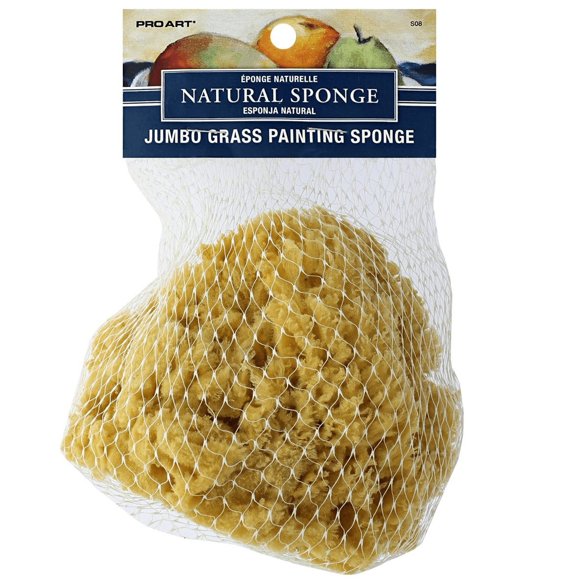 Pro Art Sponge Natural Grass #1 Large - Walmart.com