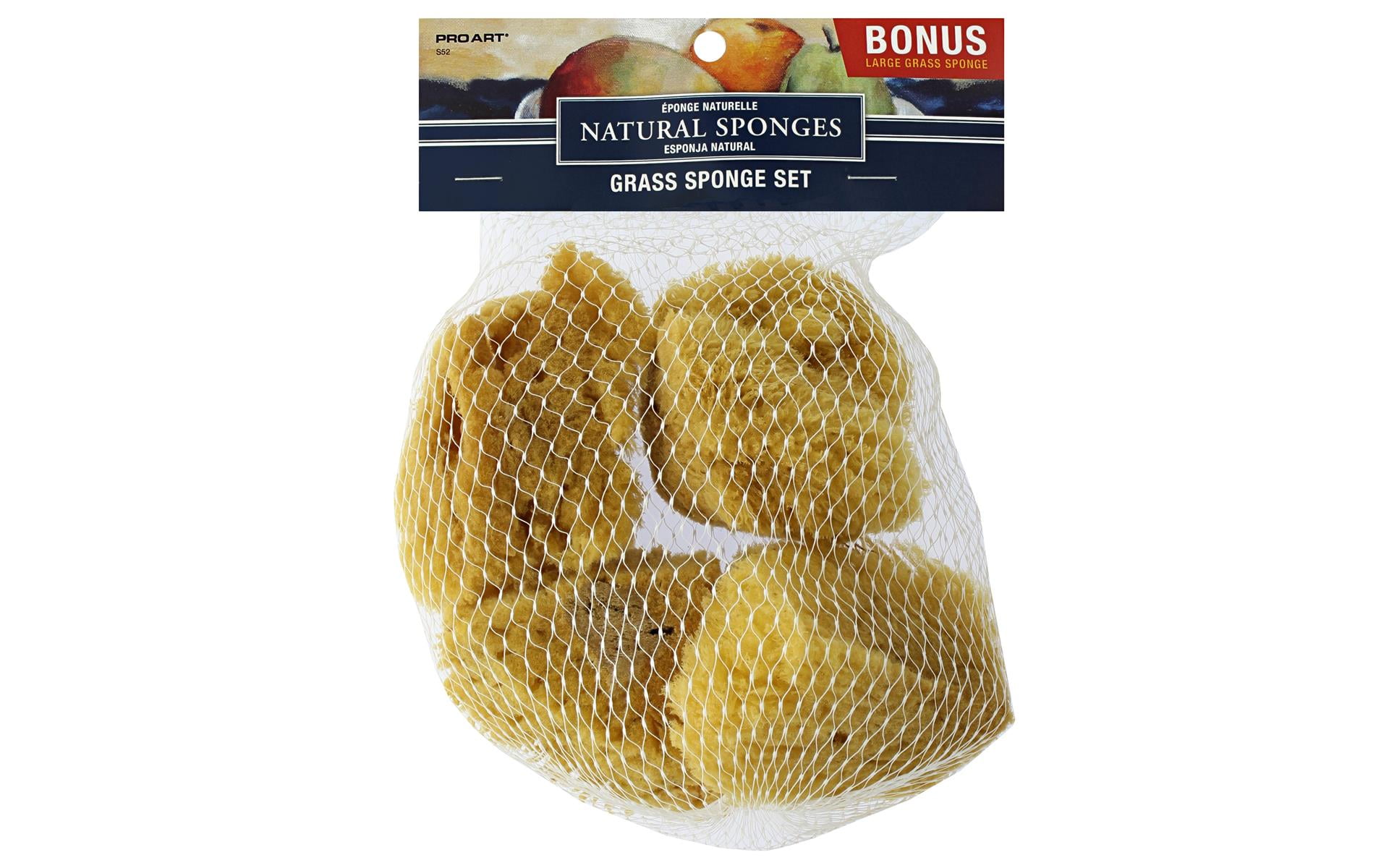Pro Art Sponge Natural Grass Set - Walmart.com