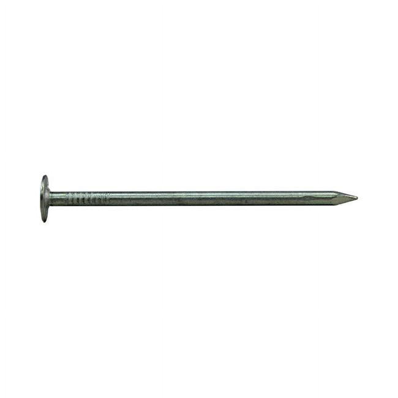 Pro-Fit 0132078 Roofing Nail, 11 ga x 1-1/4 in, Steel, Electro ...