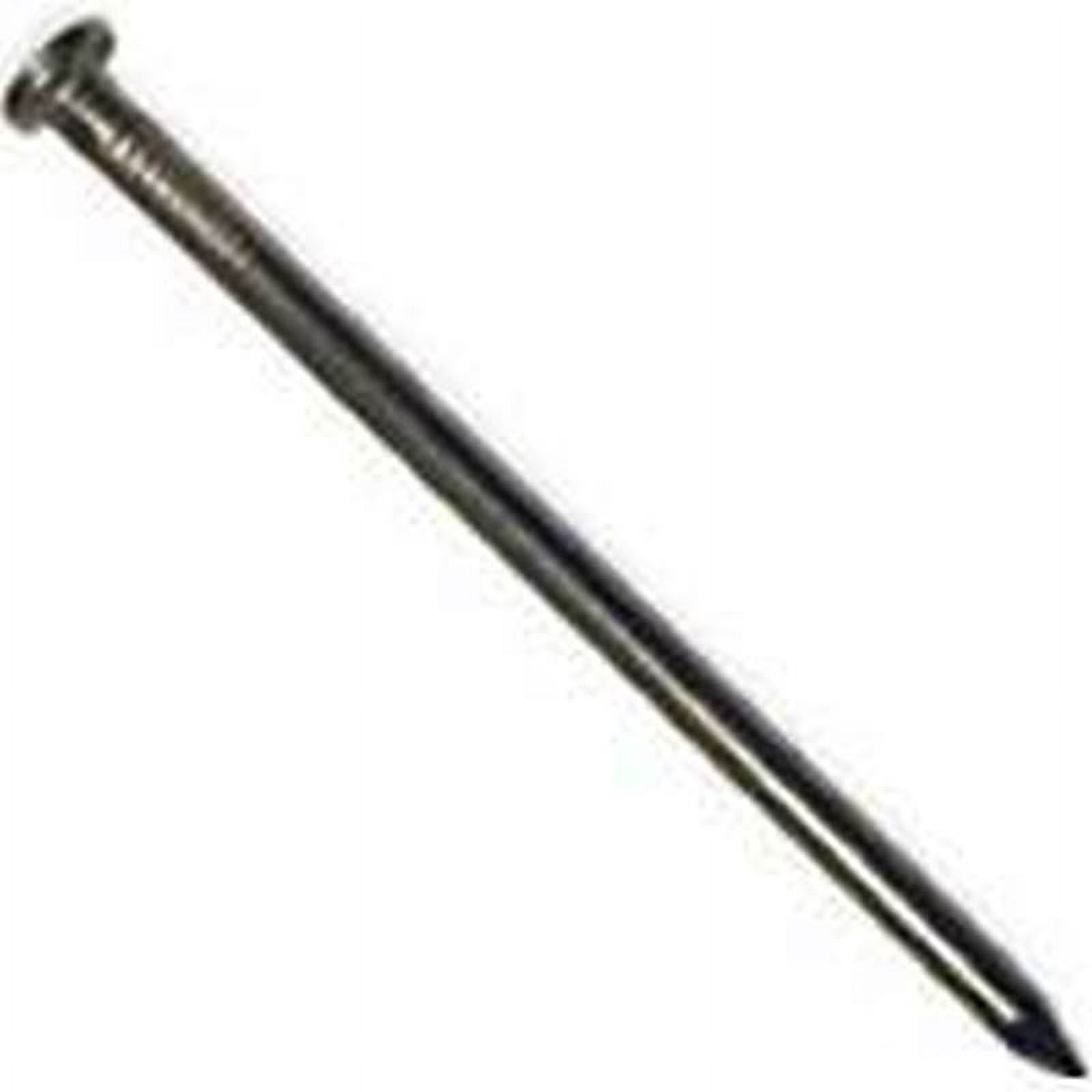 Pro-Fit 2 in. Common Hot-Dipped Galvanized Steel Nail Flat Head 1 lb ...
