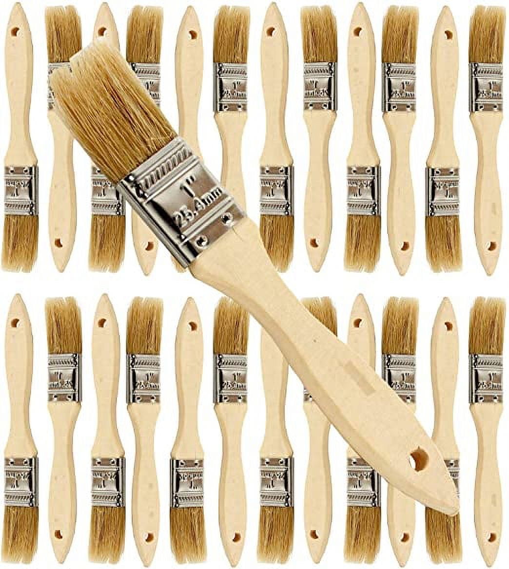 Pro Grade Chip Brush, 1-inch Professional Paint Brushes, 24 Pack ...