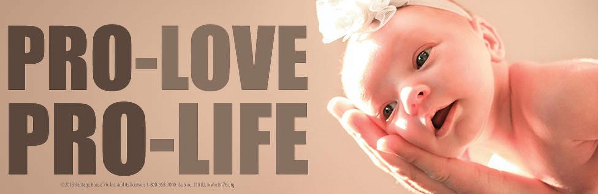 Pro-Love Pro-Life Pro-Life Bumper Sticker - Walmart.com