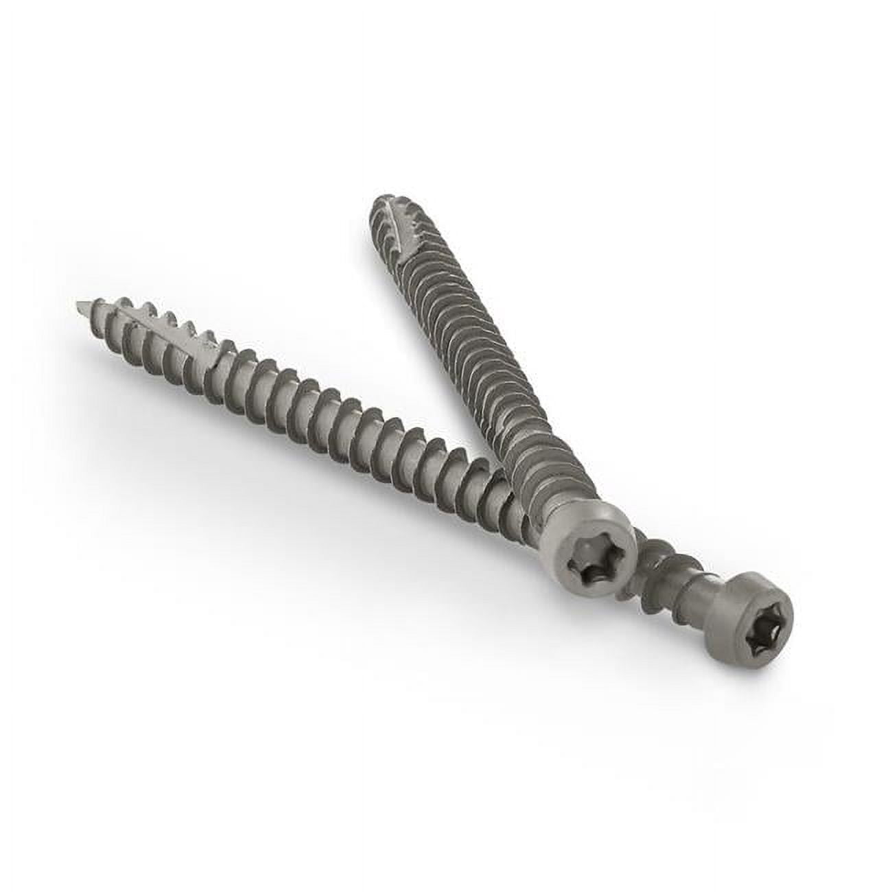 Pro Plug No. 10 x 2 in. Star Star Head Epoxy Coated Carbon Steel Deck ...