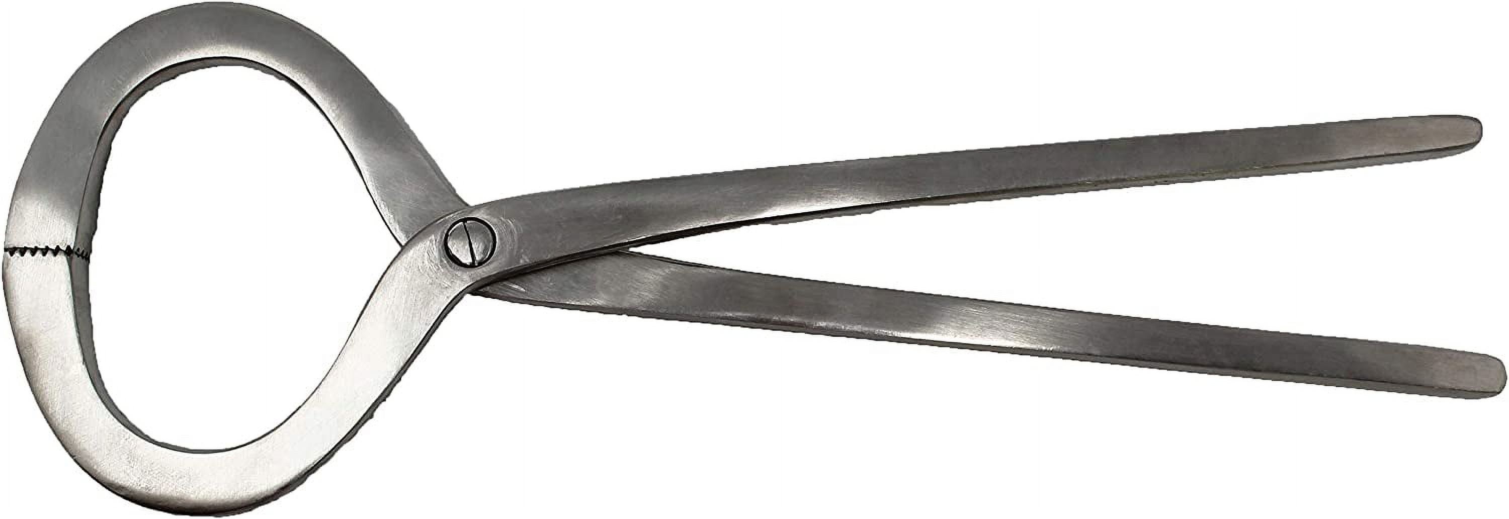 Pro Rider 13" Horse Hoof Tester Large Hand Crafted Stainless Steel ...