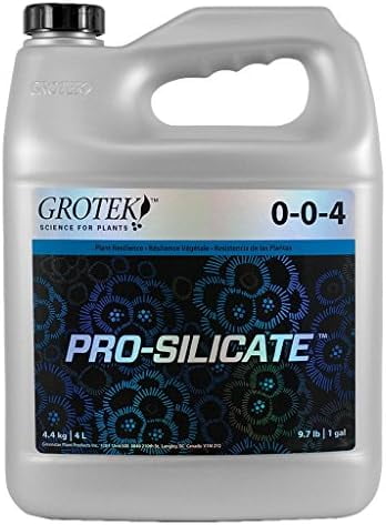 Pro-Silicate, 4 Liter - Walmart.com