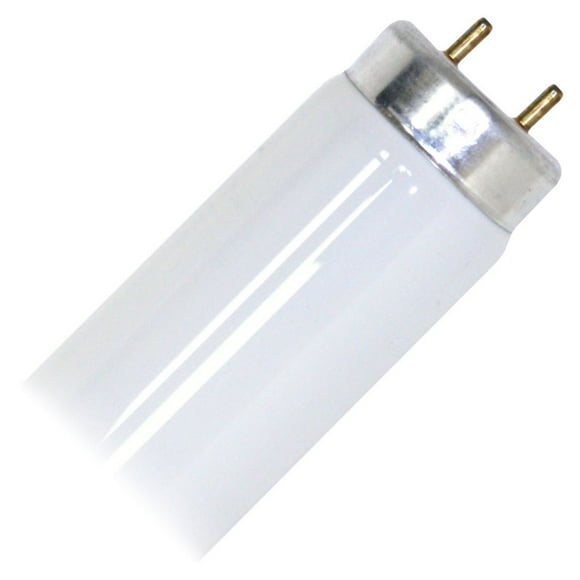T10 Bulb
