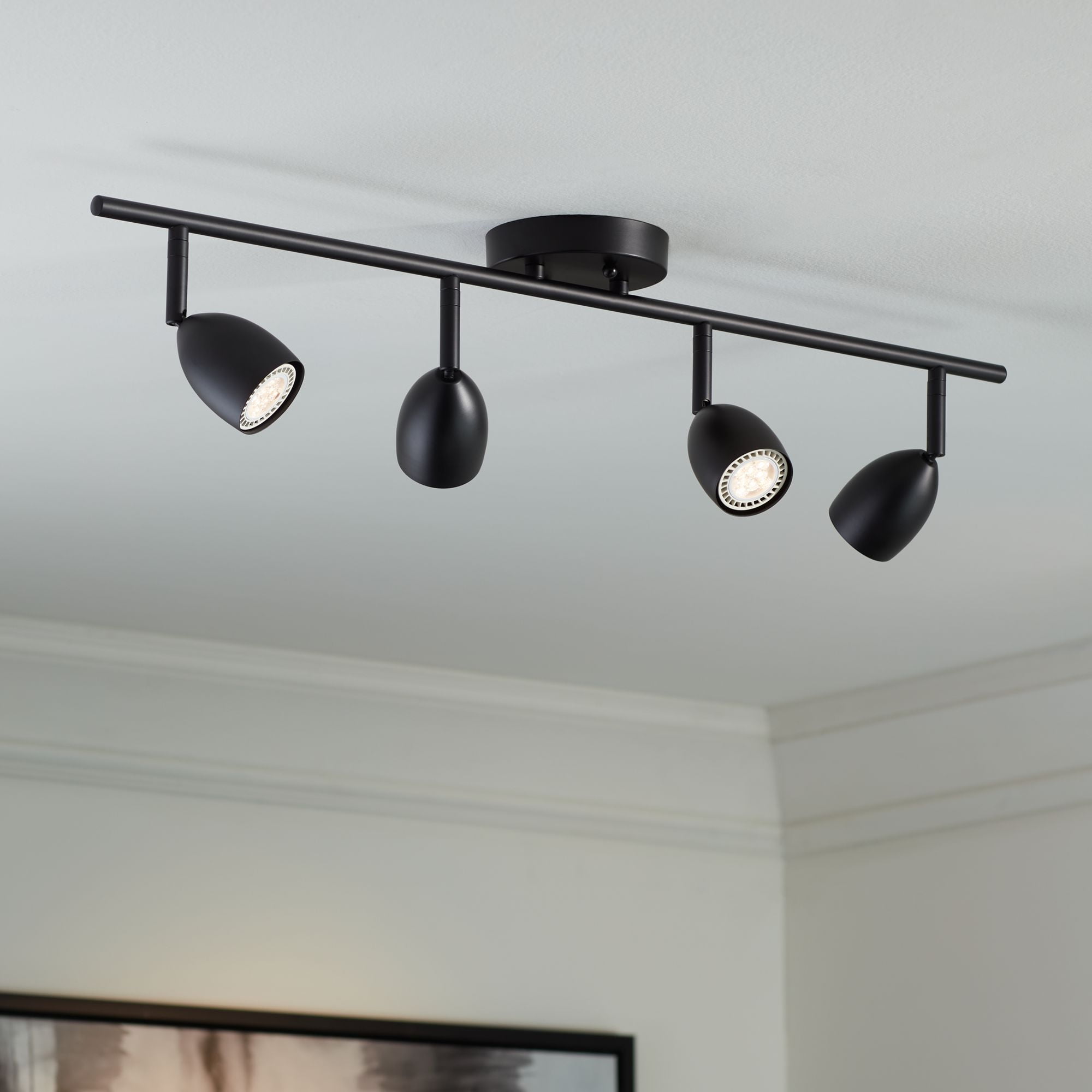 Pro Track 4-Light Heads LED Wall or Ceiling Track Light Fixture Kit 8.5 ...