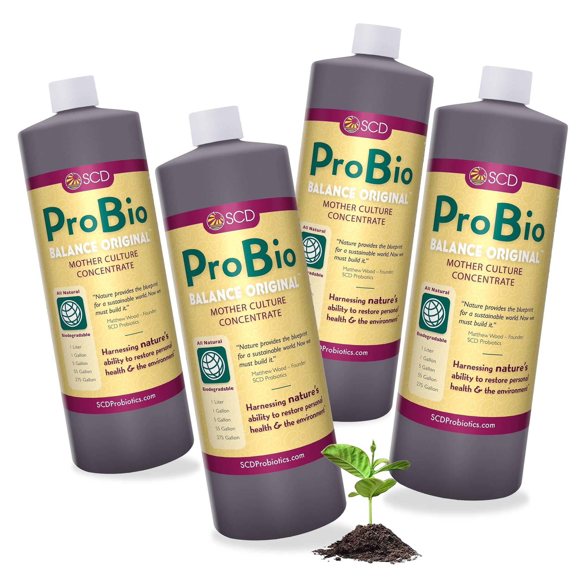 ProBio Balance Original - Probiotic Mother Culture - SCD Probiotics (1 ...