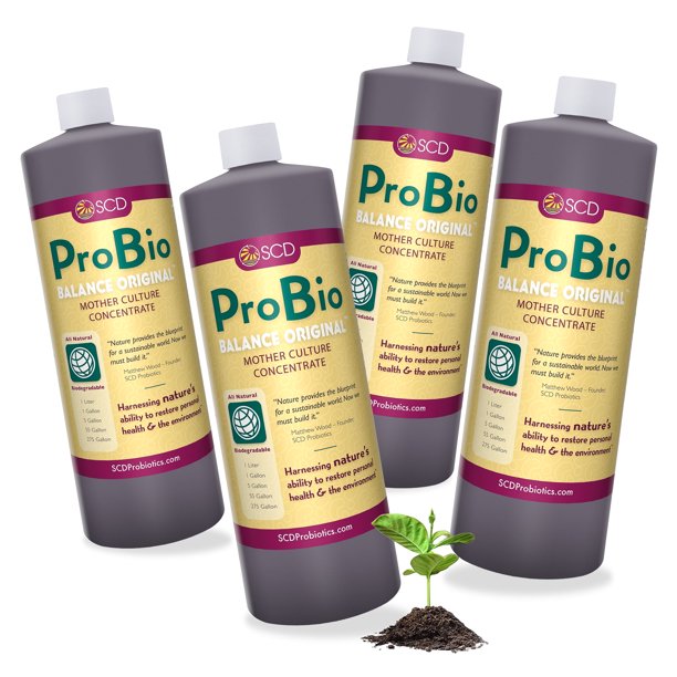ProBio Balance Original - Probiotic Mother Culture - SCD Probiotics (1 ...