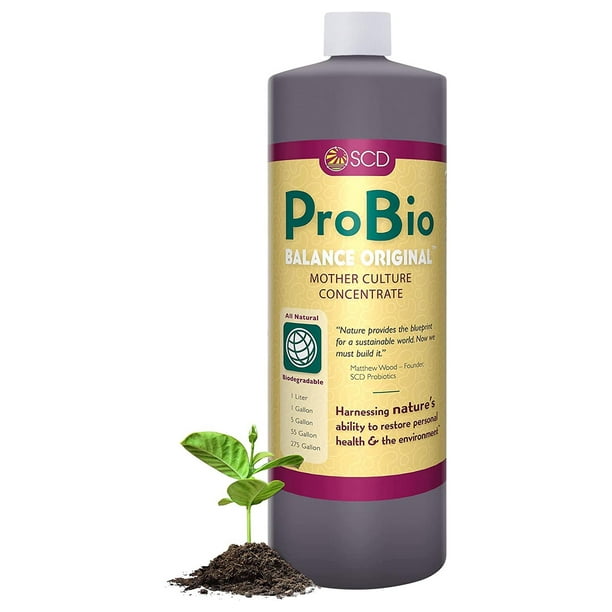 ProBio Balance Original - Probiotic Mother Culture - SCD Probiotics ...
