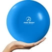 THERABAND 9 IN Mini Ball, Versatile Physical Therapy Exercise & Pilates ...