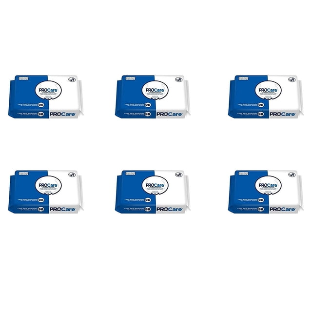 ProCare Large Adult Individual Hygiene Body Wet Wipes, Soft Pack, Aloe ...