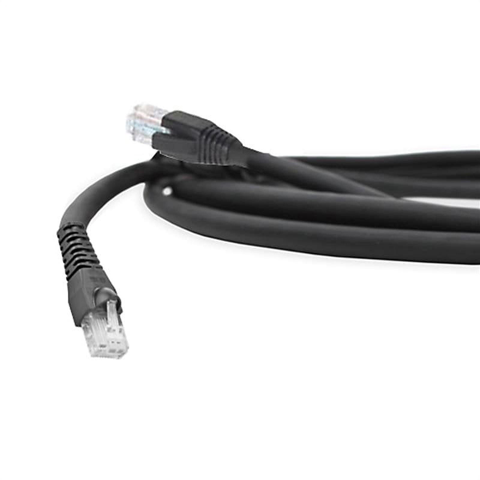 ProCo Duracat Cat6 solid core UTP cable with RJ45 connectors, 6 Feet ...