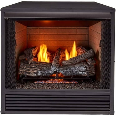 Duluth Forge Dual Fuel Ventless Gas Fireplace Insert - 32,000 BTU ...