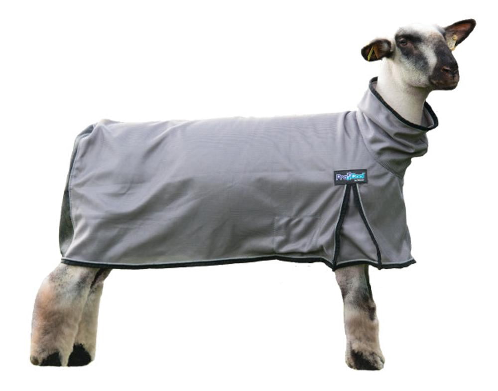 ProCool Mesh Sheep Blanket Gray Large - Walmart Business Supplies