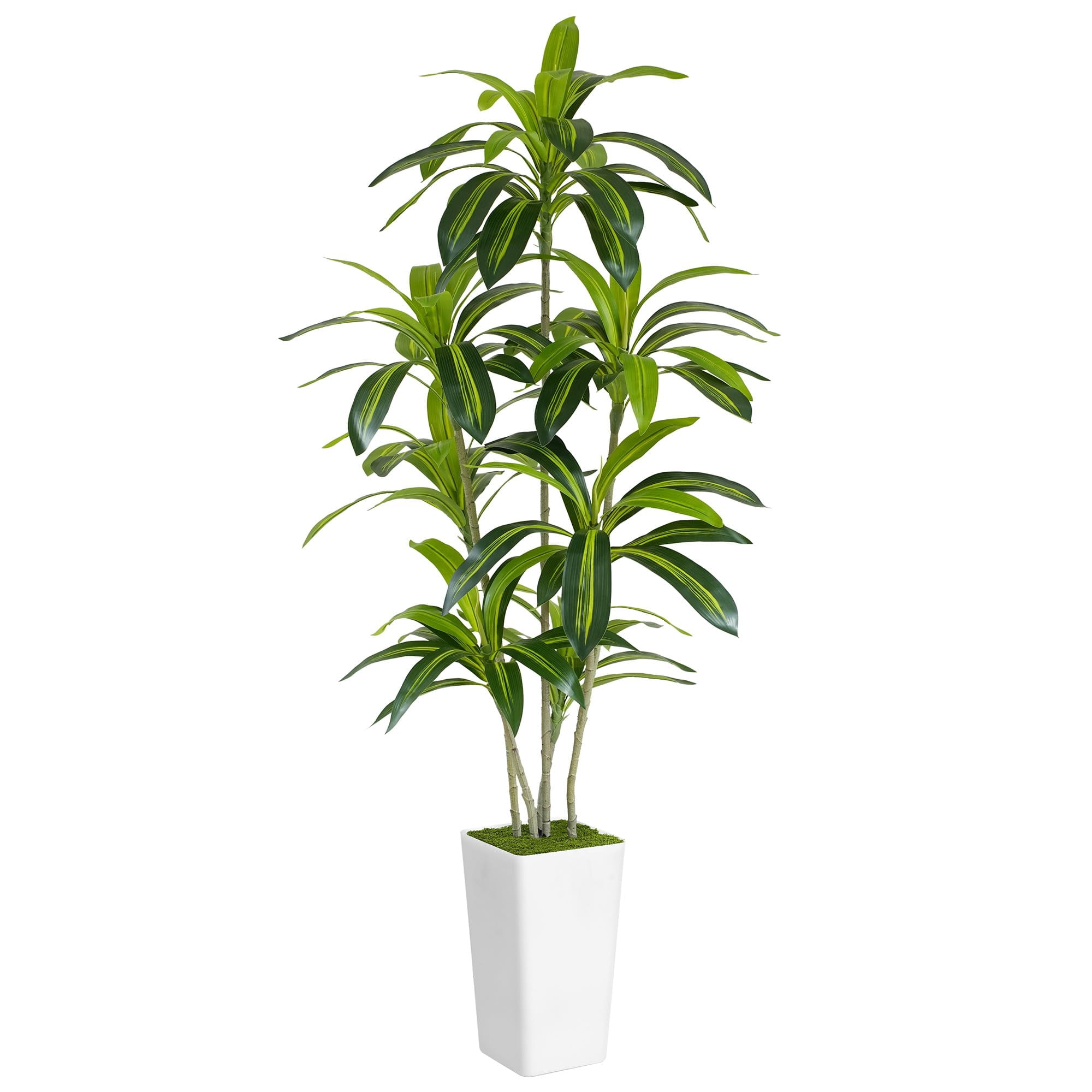 ProDeco Artificial Dracaena Tree 6ft Tall - Green Silk Realistic Fake ...
