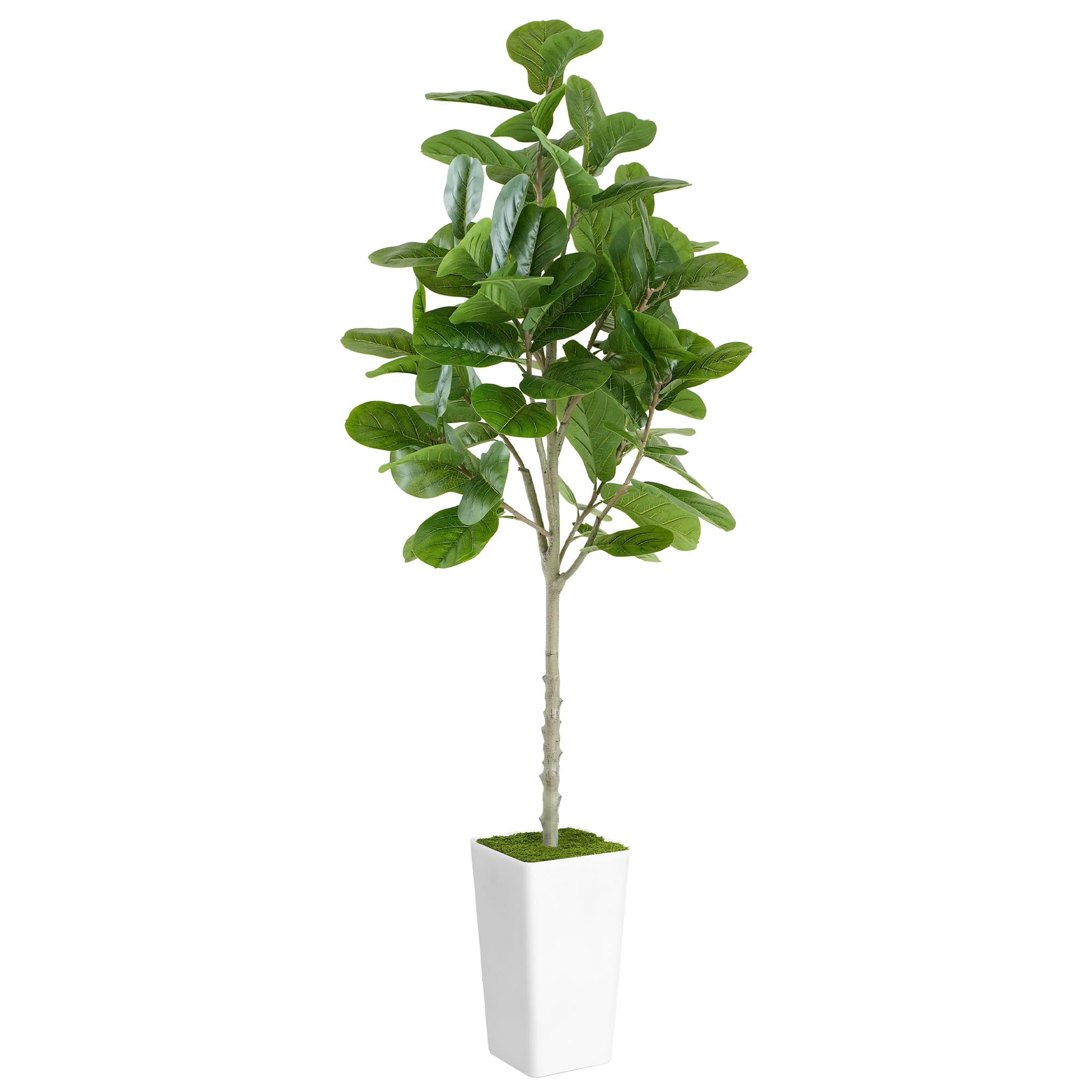ProDeco Artificial Fiddle Leaf Fig Tree 6ft - Realistic Tall Fake ...