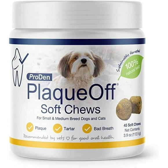 Plaqueoff Dog