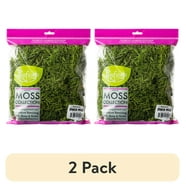 Proflora Preserved Forest Moss, True Green, 320 CU in - Walmart.com