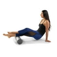 ProForm 24” High-Density Massage Foam Roller with Recovery Exercise ...