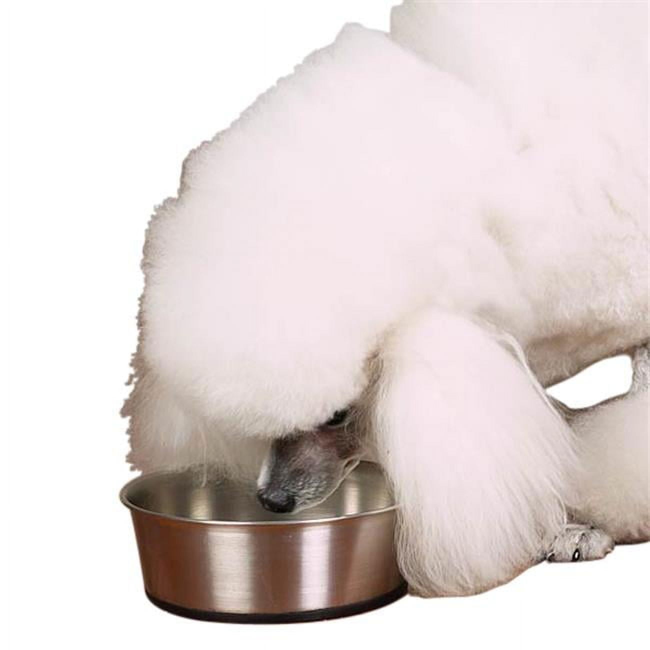 ProSelect SS Dog Bowl with Rubber Base 9OZ - Walmart.com