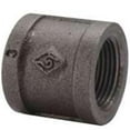 ProSource 21-1/2B Pipe Coupling, 1/2 in, FIP, Steel, SCH 40 Schedule ...