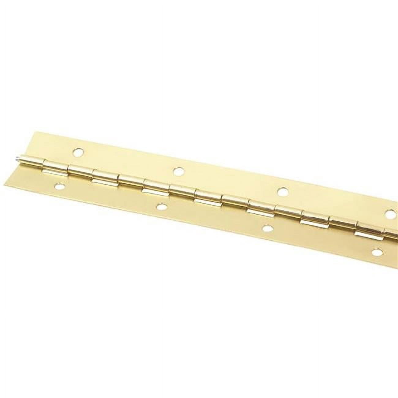 ProSource Continuous Hinge, 180 deg, Steel, Bright Brass, 1.5 in x 48 ...