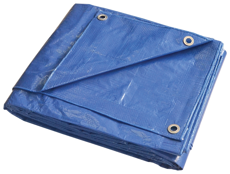 ProSource T3040BB90 Tarpaulin, 40 ft L, 30 ft W, 5 mil Thick ...