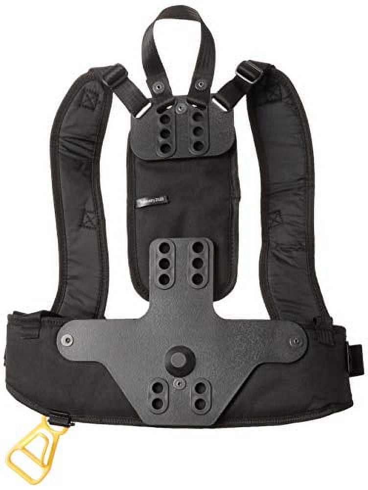 ProTeam Backplate 103166, ProVac, Black - Walmart.com