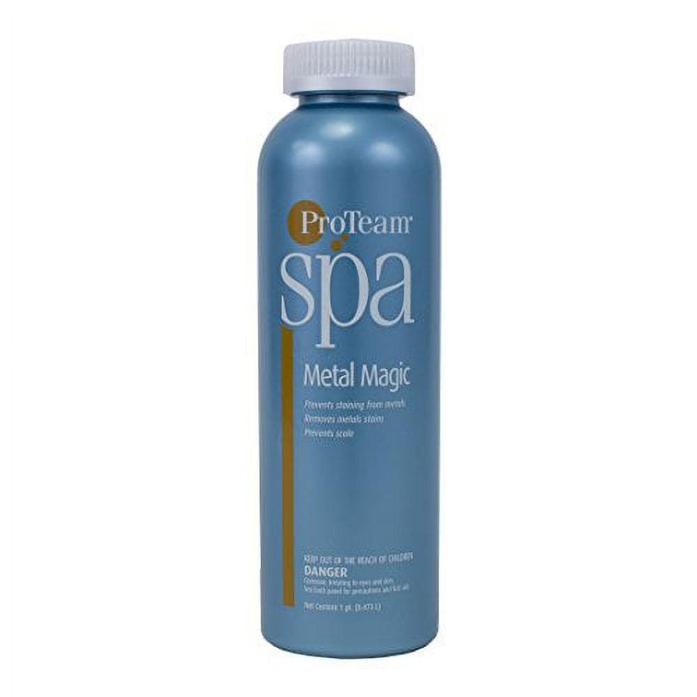 ProTeam Spa Metal Magic (1 pt) - Walmart Business Supplies