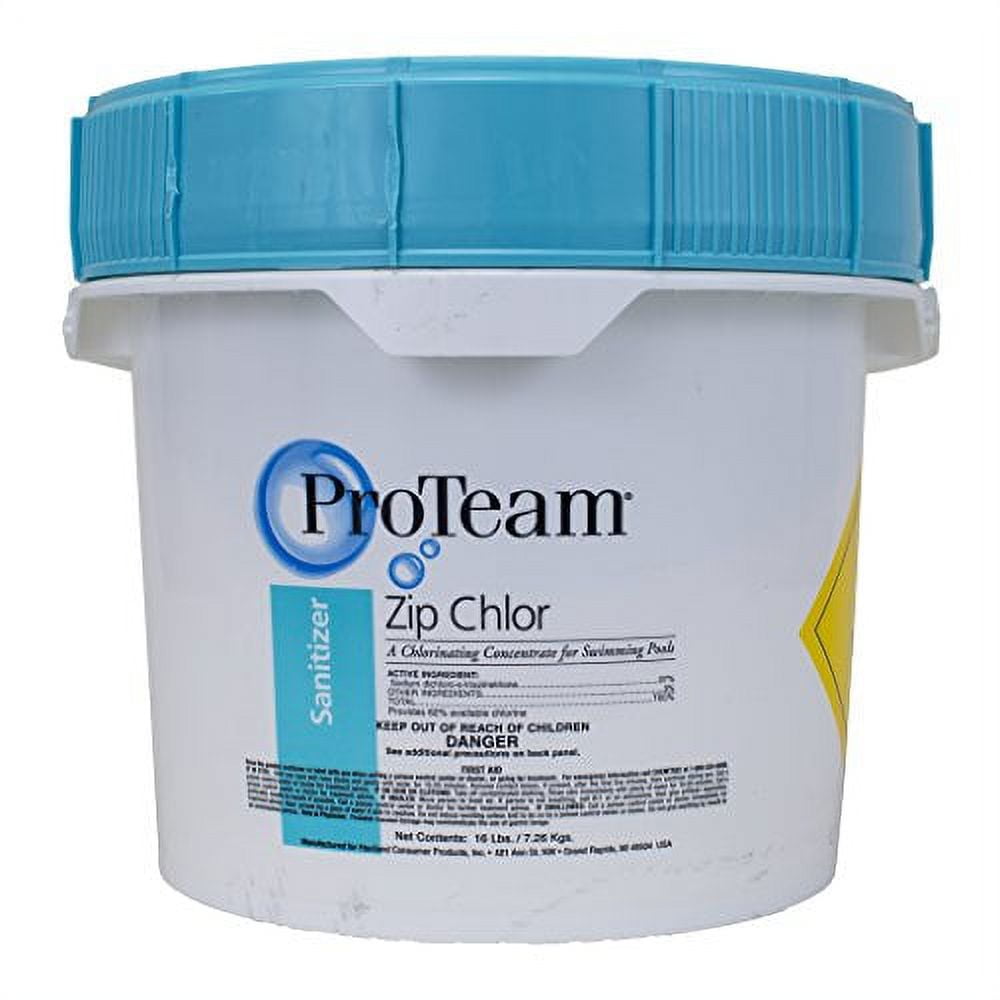 ProTeam Zip Chlor Sanitizer Chlorinating Concentrate for Swimming Pools ...