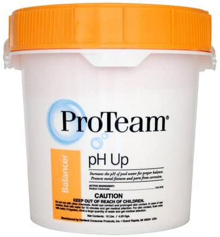 ProTeam pH Up 5 lb Balancer Increases pH Levels in Swimming Pools ...