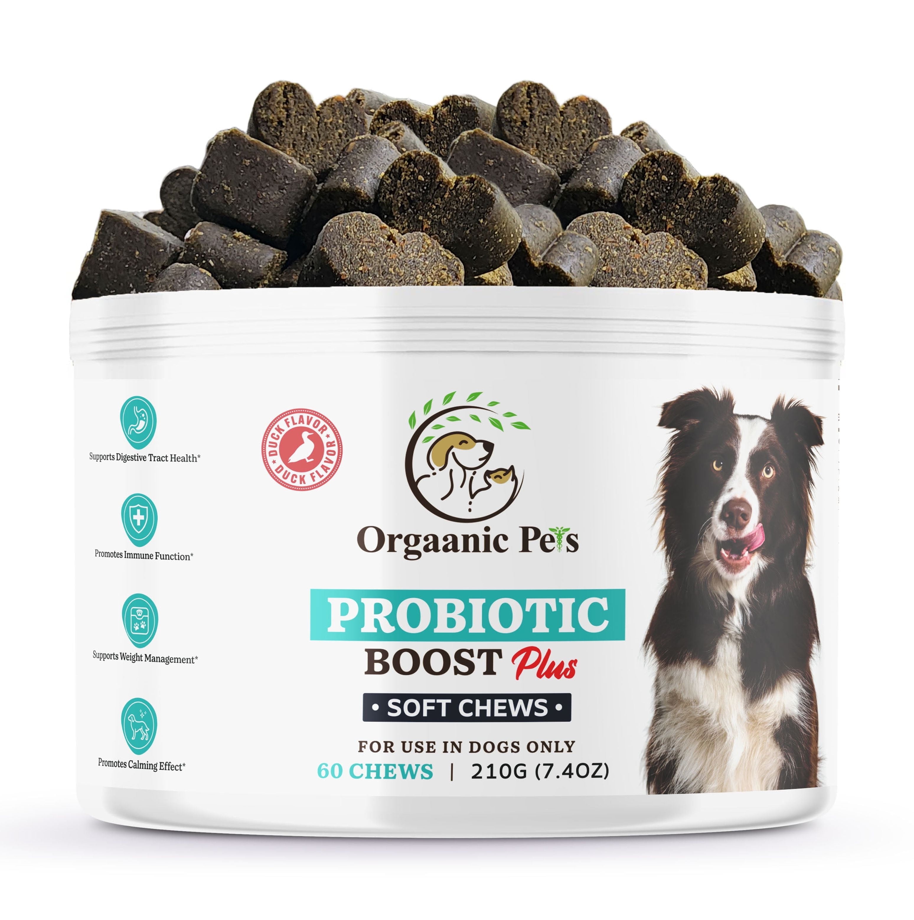 Probiotic Chews - Boost Gut Health and Ease Allergies with PROBIOTICS ...