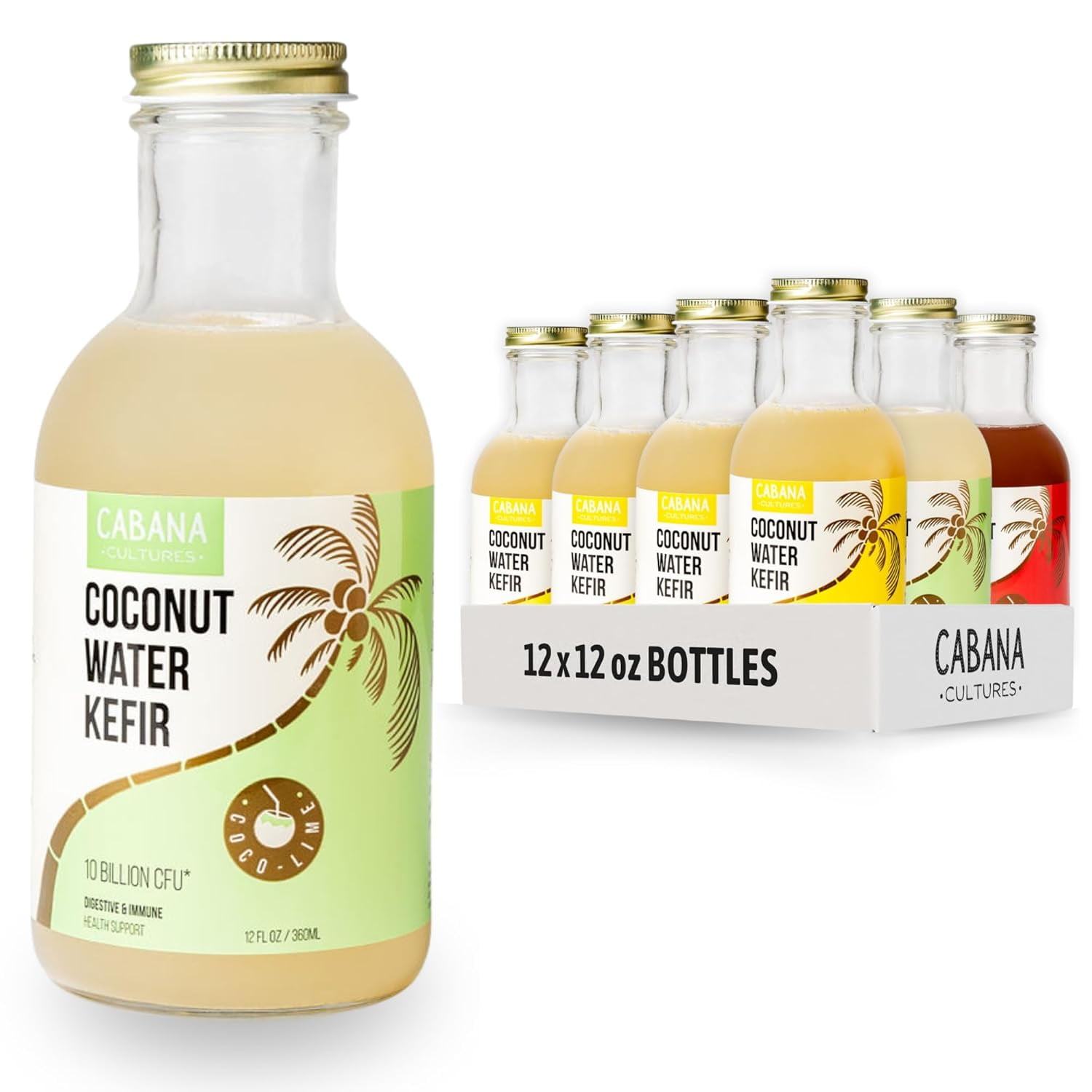 - Probiotic Coconut Water Kefir, Gut Health & Immunity Support ...