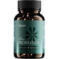 Probiotic Supplement for Digestive Support – 3-in-1 Probiotic ...