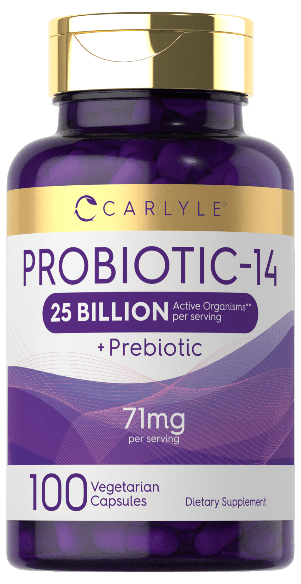 Probiotics 25 Billion CFU | with Prebiotics | 100 Vegetarian Capsules ...