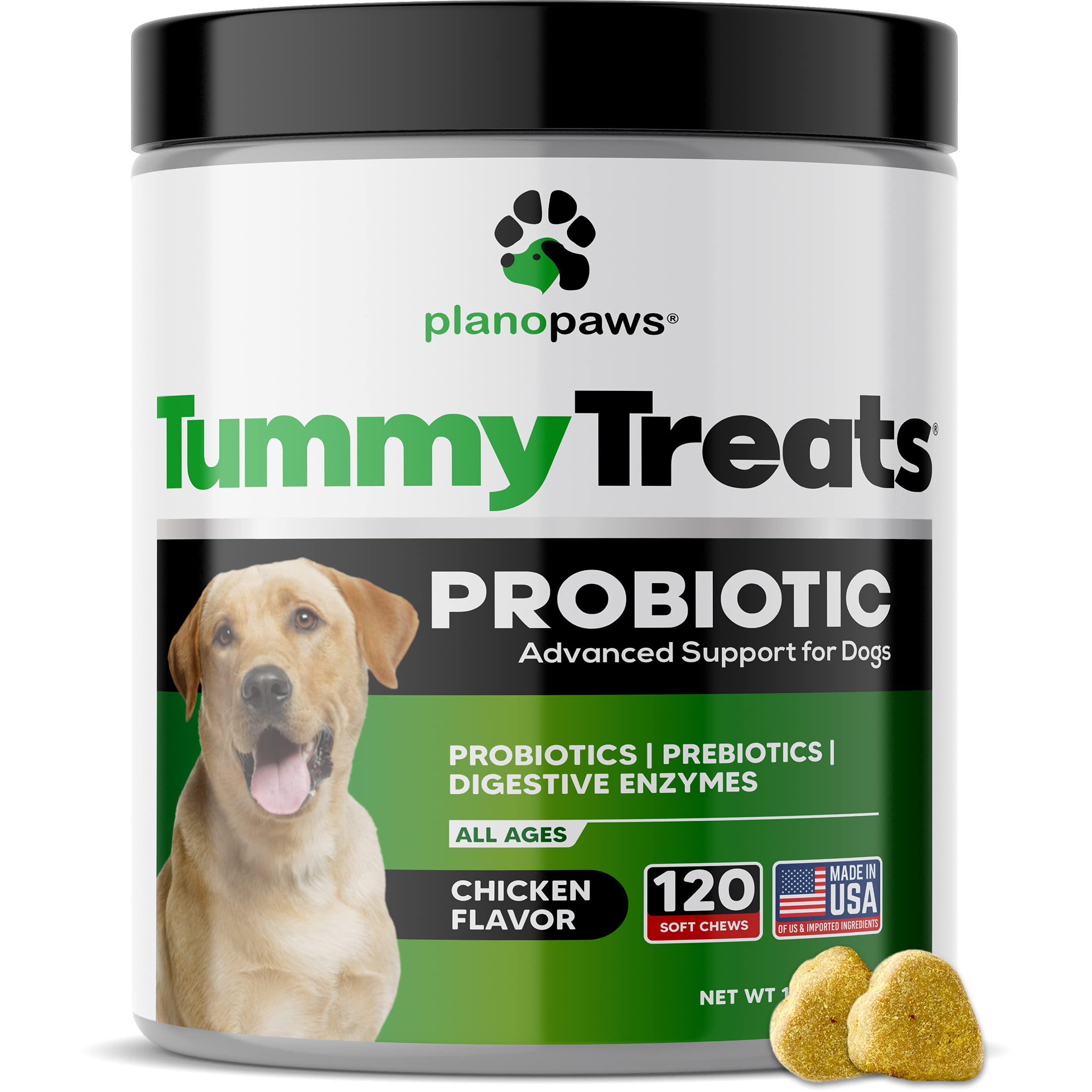 Probiotics for Dog-s Digestive Health - Dog- Probiotics and Digestive ...