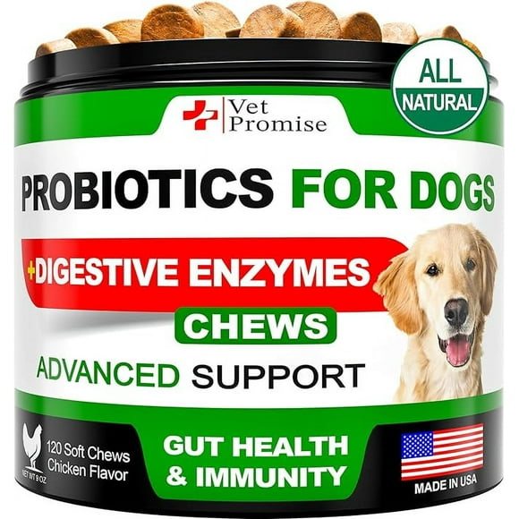 Dog Gut Bacteria