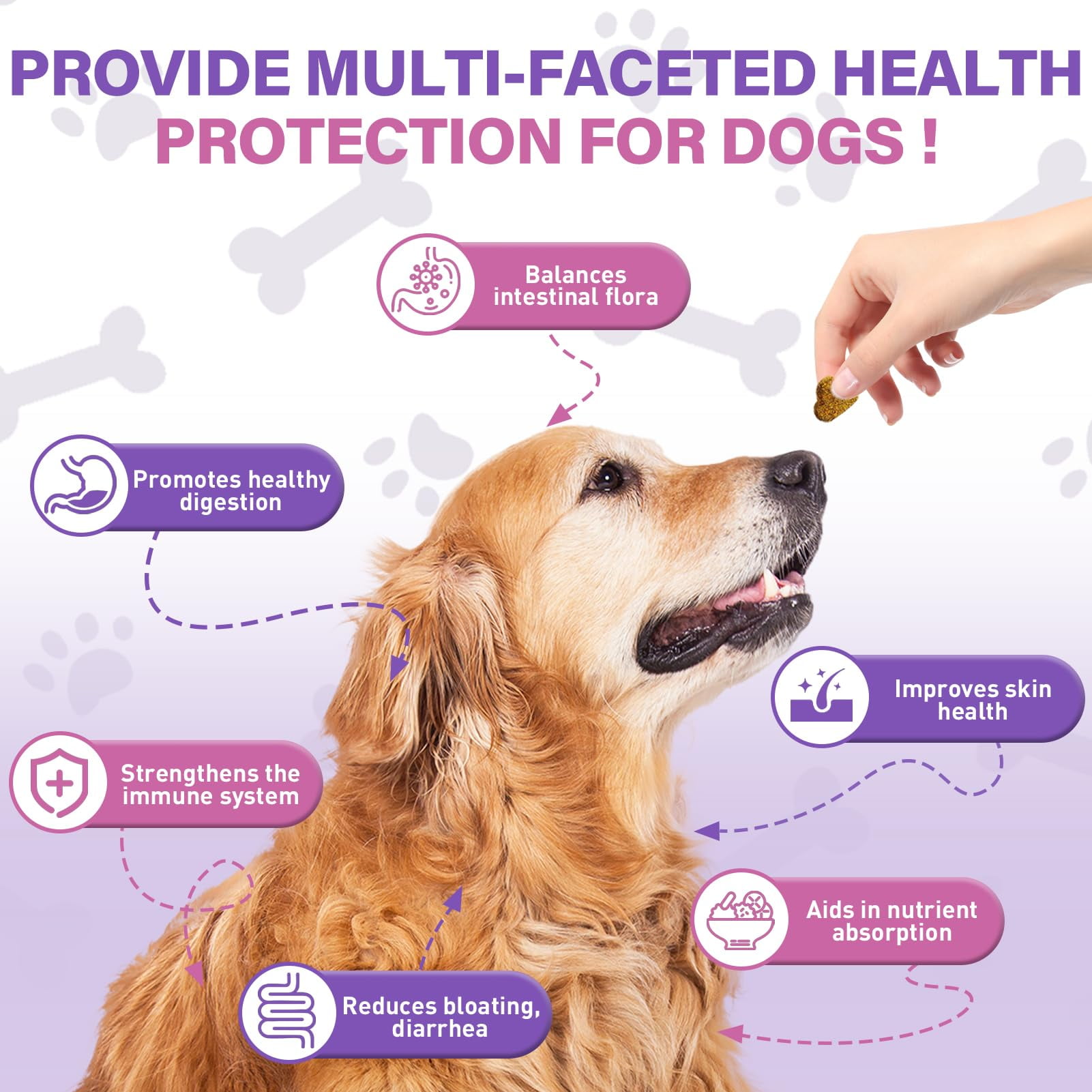 Probiotics For Dogs FEV6 Chews 400 Probiotic and Digestive Gut Health ...