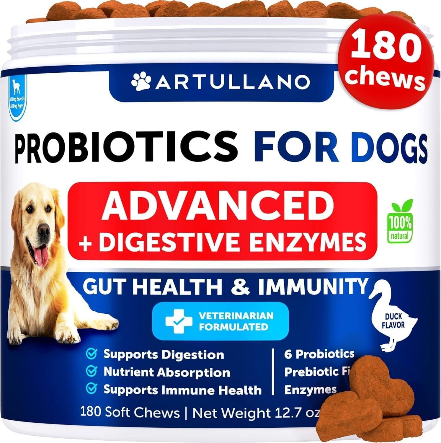 Probiotics for Dogs Support Gut Health Itchy Skin Allergies Immunity ...