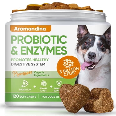 Probios Digestion Support Soft Chews with Probiotics for Medium & Large ...
