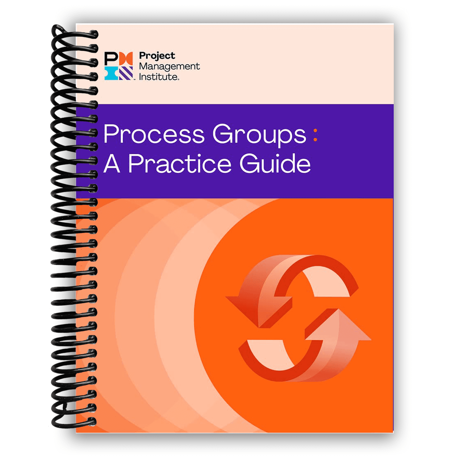 Process Groups: A Practice Guide (Spiral Bound) - Walmart.com