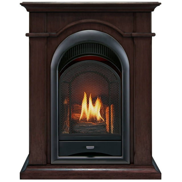 Procom Dual Fuel Vent Free Gas Fireplace System 15,000 BTU, T-Stat ...