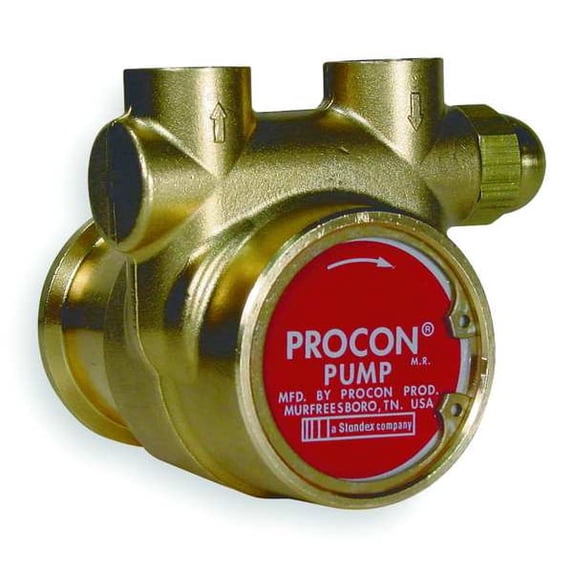 Procon Pump,Rotary Vane,Brass 112A035F11CA 250 - Walmart.com