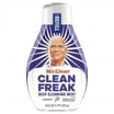 Mr. Clean Lemon Zest Scented Multi-Surface Spray Refill - Clean Freak ...