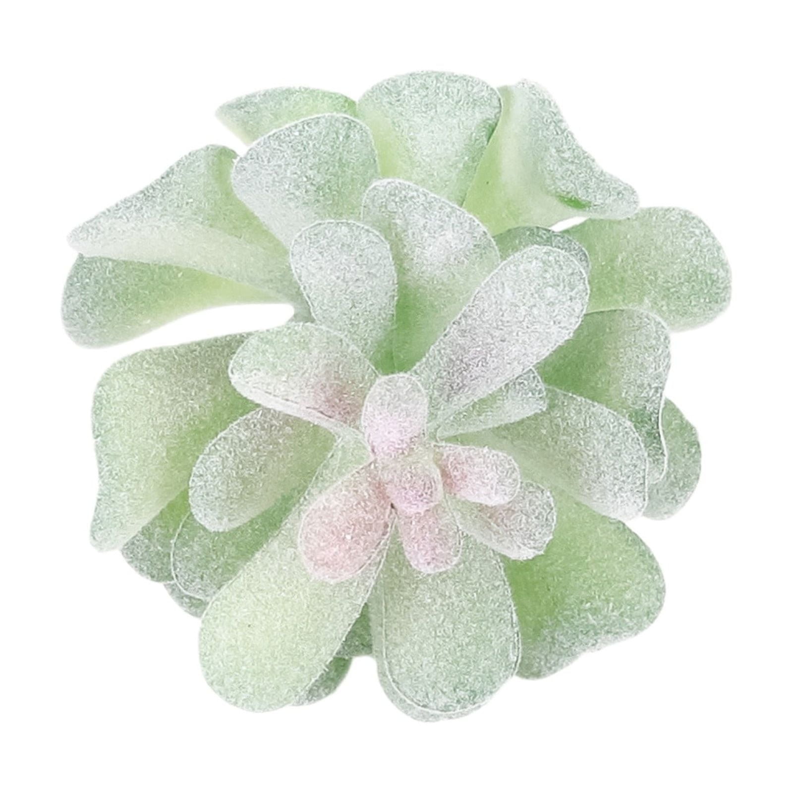 Product flowers2 – Lifelike Succulent For Home And Succulents ...